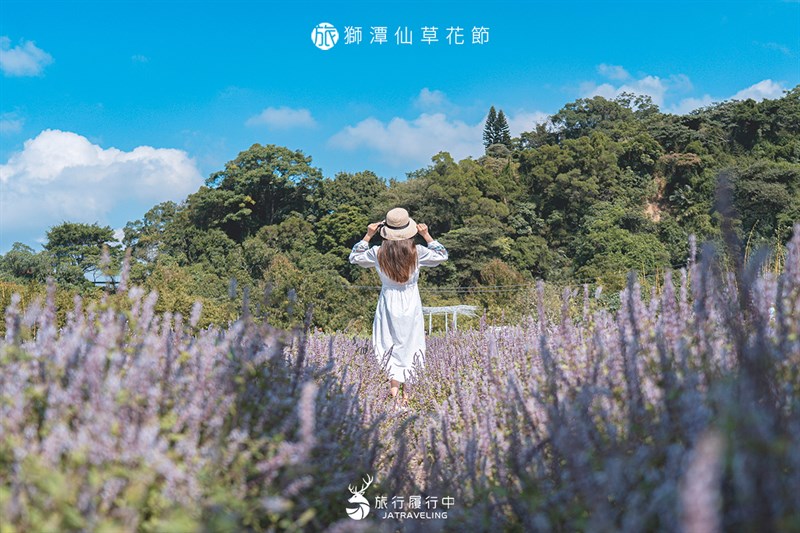 【苗栗這樣玩】10個獅潭景點一日遊，逛老街、品仙草、賞櫻花，朝聖仙草的故鄉！-客庄小旅行